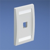 FACEPLATE SINGLE GAN | KGPCo - The Network Never Sleeps.
